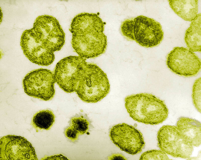 Resistente Erreger kehren zurück | PZ – Pharmazeutische Zeitung