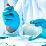 Chinolone: FDA nennt Alternativen | PZ – Pharmazeutische Zeitung