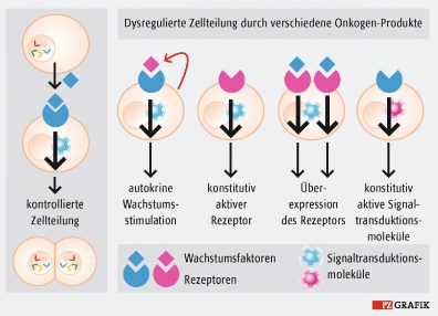 Wie Tumoren entstehen | PZ – Pharmazeutische Zeitung