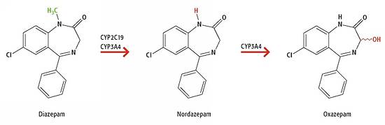 Prodrugs: Potente Metaboliten | PZ – Pharmazeutische Zeitung