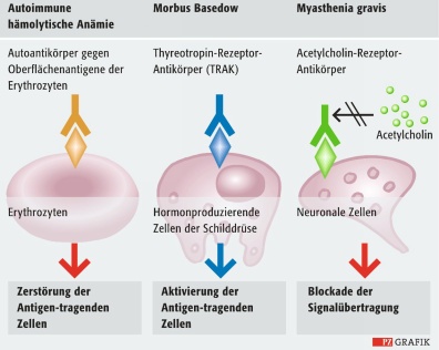Freund und Feind erkennen | PZ – Pharmazeutische Zeitung